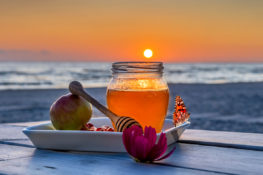 About Rebbe Nachman's Chair - Breslov.org