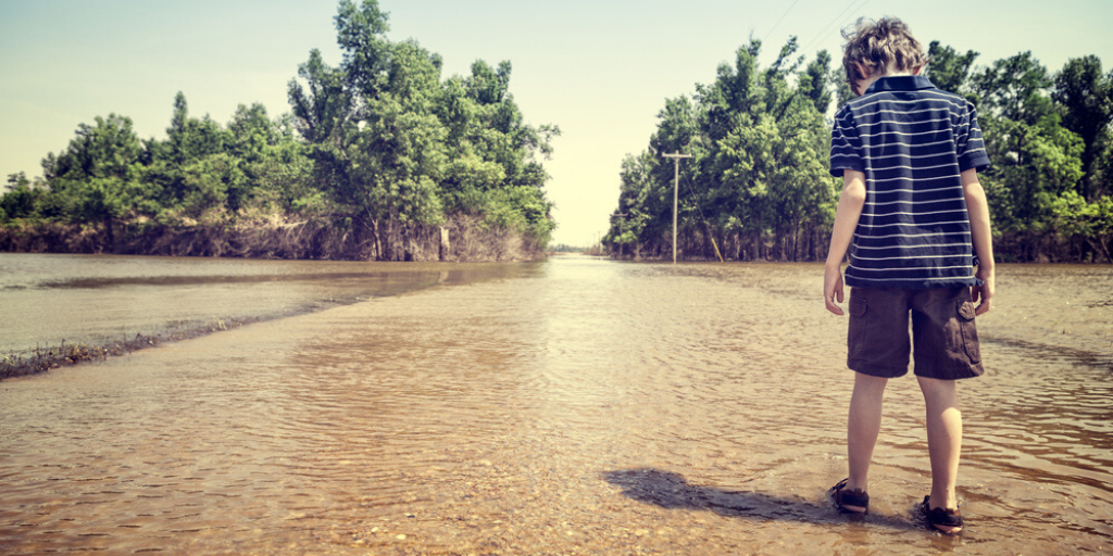 Parshat Noach - Remembering the Covenant of Purity - Breslov.org