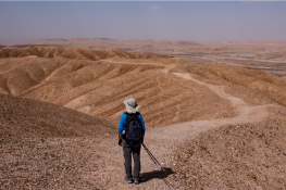 About Rebbe Nachman's Chair - Breslov.org