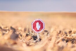 About Rebbe Nachman's Chair - Breslov.org