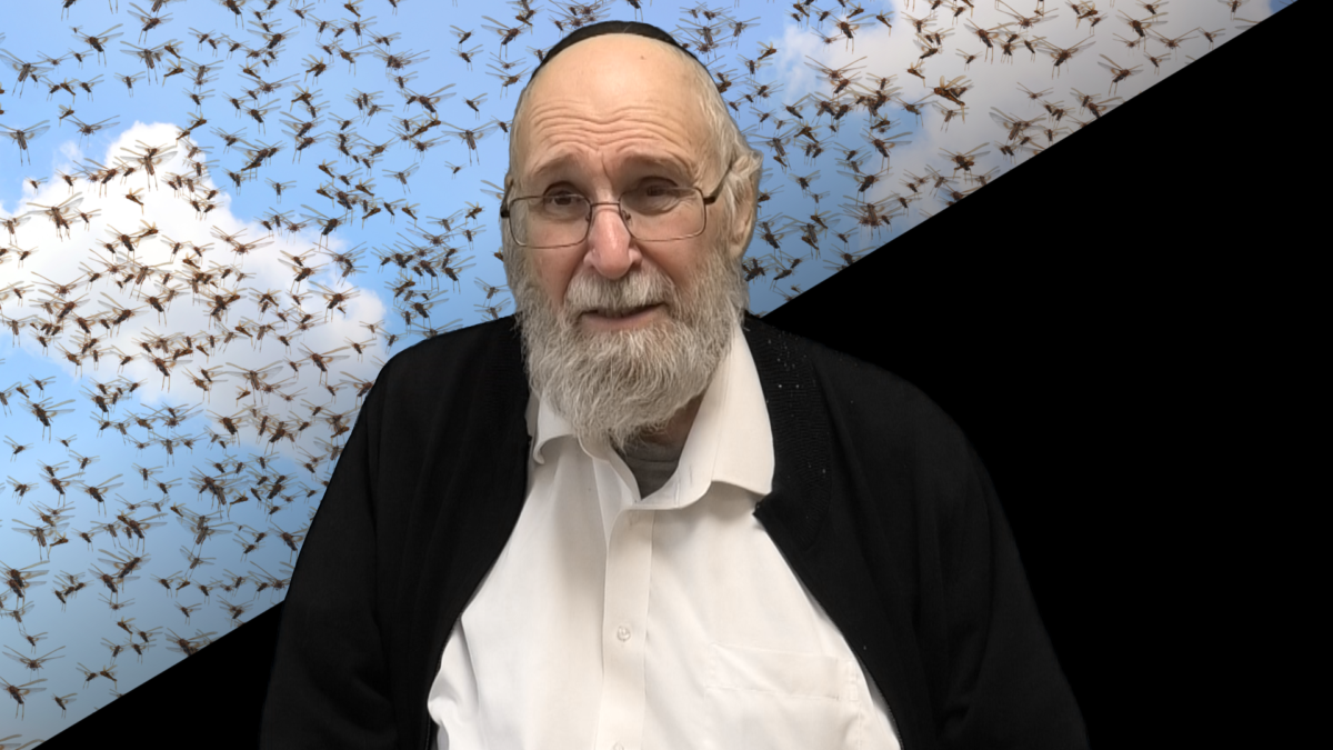 Reb Chaim Kramer - Bo - The Timeless Wisdom of Breslov