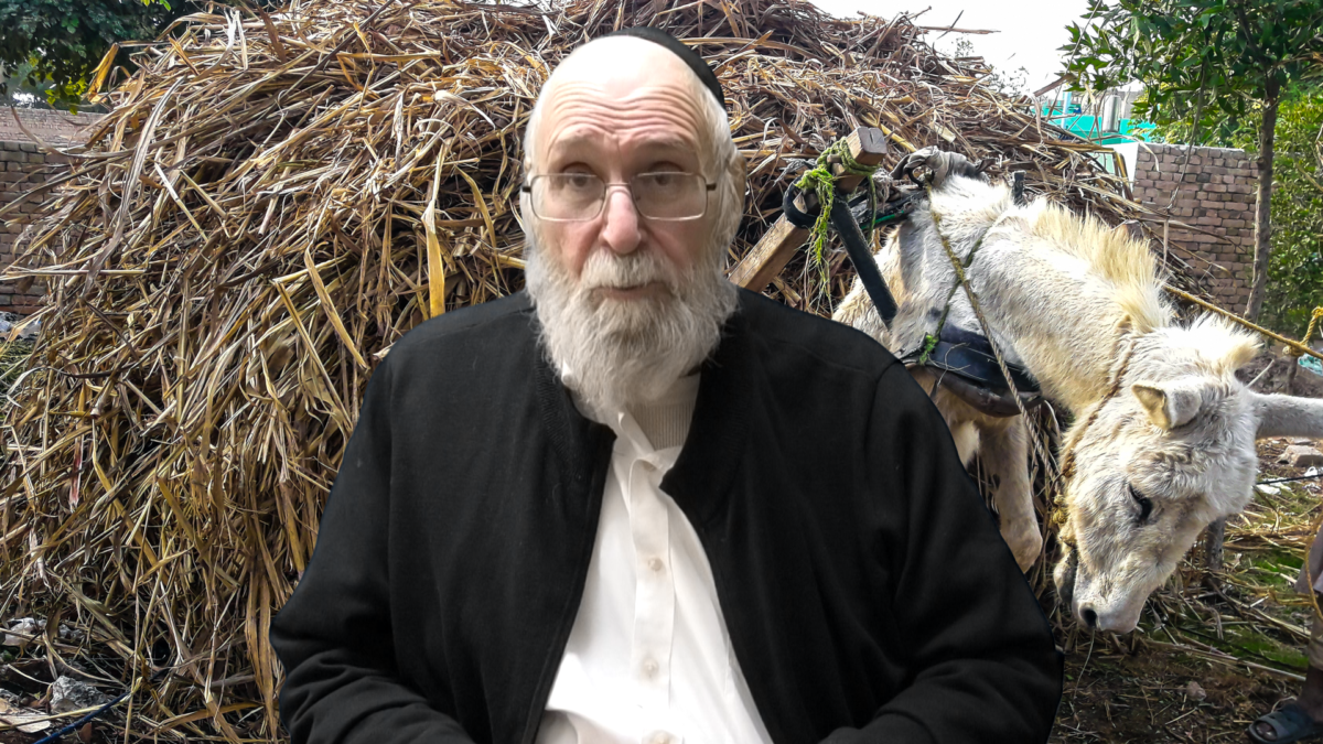 Reb Chaim Kramer - Mishpatim - The Timeless Wisdom of Breslov