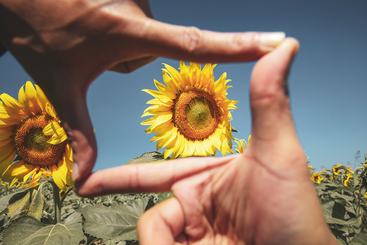Purim – it’s OUR time to shine - The Timeless Wisdom of Breslov
