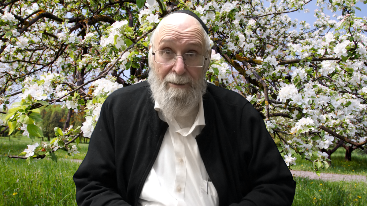 Reb Chaim Kramer - Tu B’Shevat - The Timeless Wisdom of Breslov
