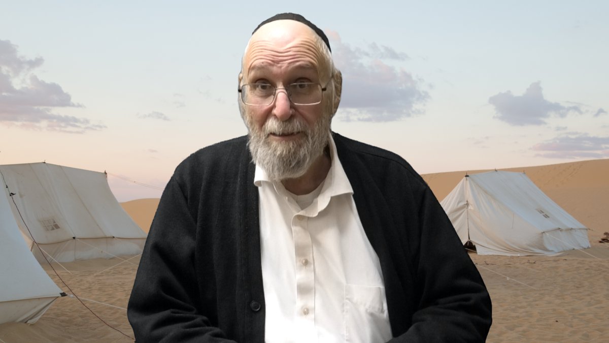 Reb Chaim Kramer - Vayishlach - The Timeless Wisdom of Breslov