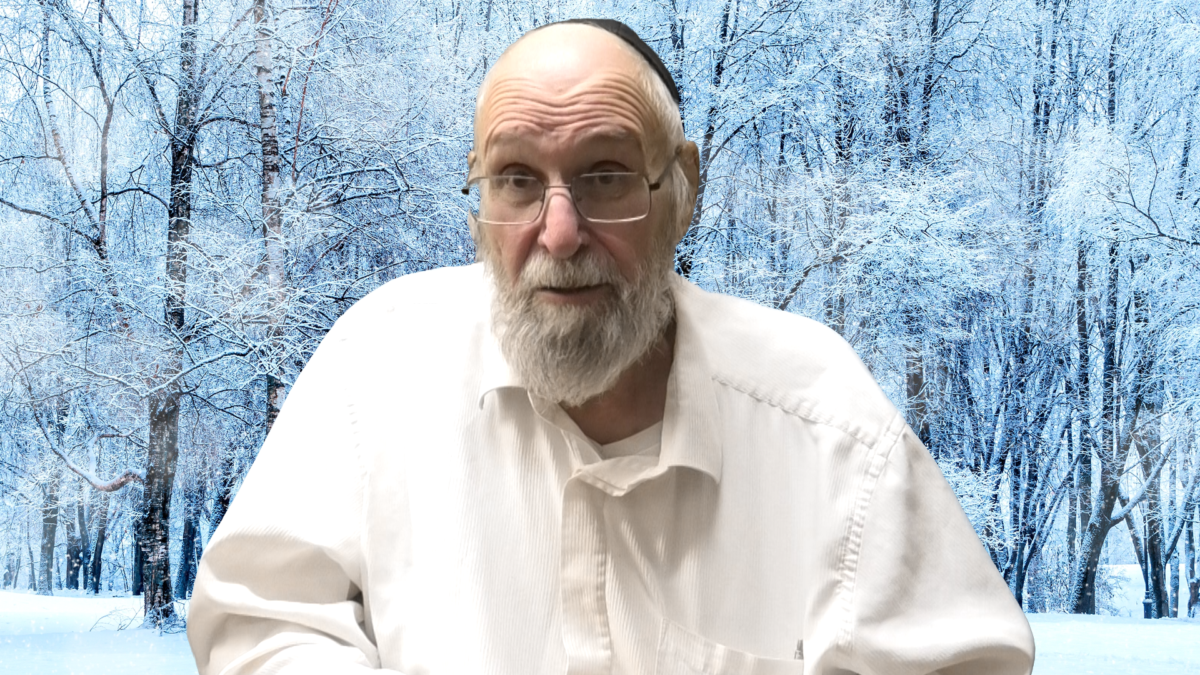 Reb Chaim Kramer - Winter - The Timeless Wisdom of Breslov