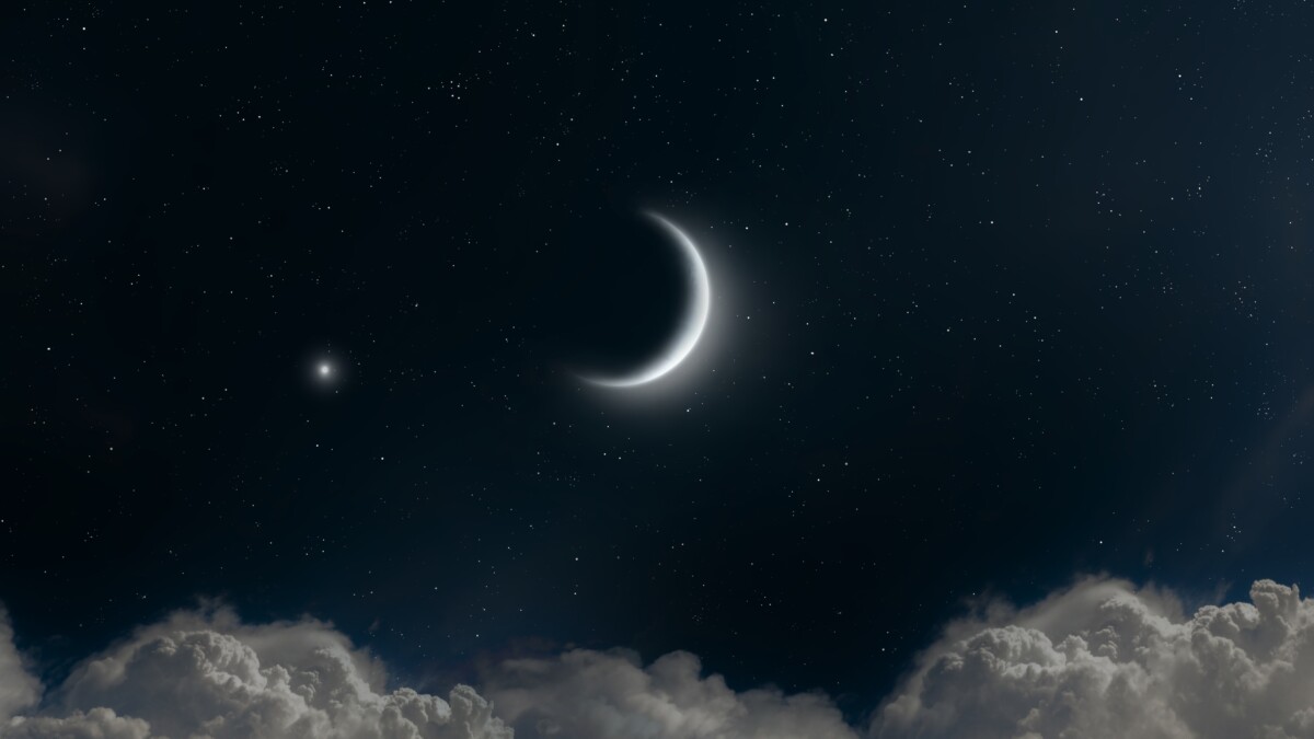 Meir Elkabas - Parshat Shemini - Breslov.org