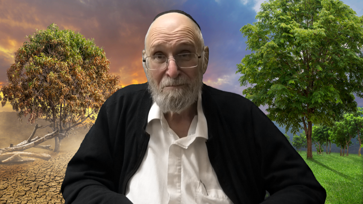 Reb Chaim Kramer - Acharei Mot-Kedoshim - The Timeless Wisdom of Breslov