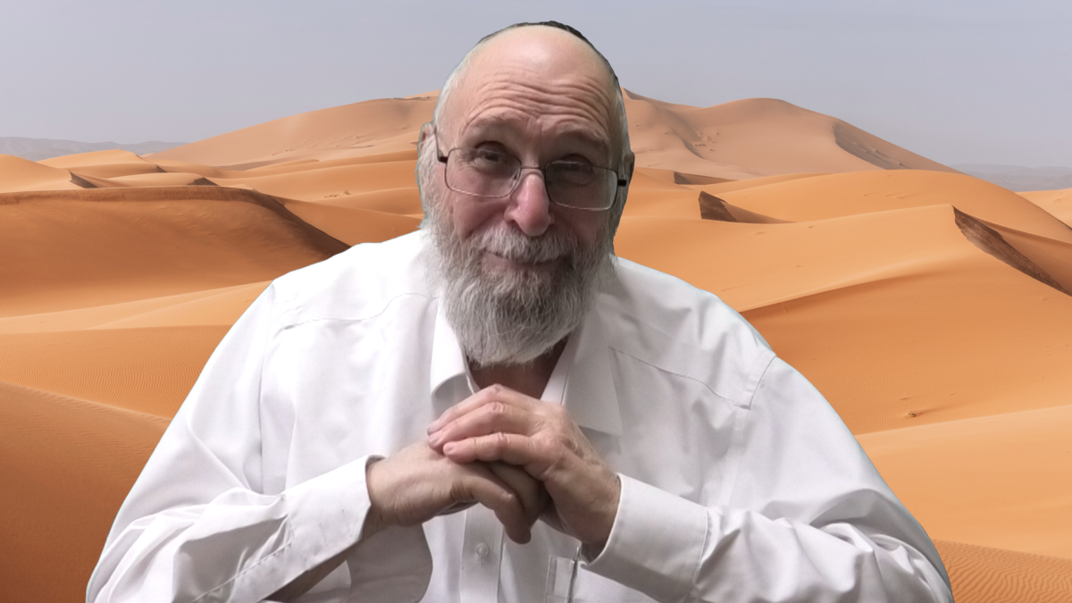 Reb Chaim Kramer - Bamidbar - The Timeless Wisdom of Breslov