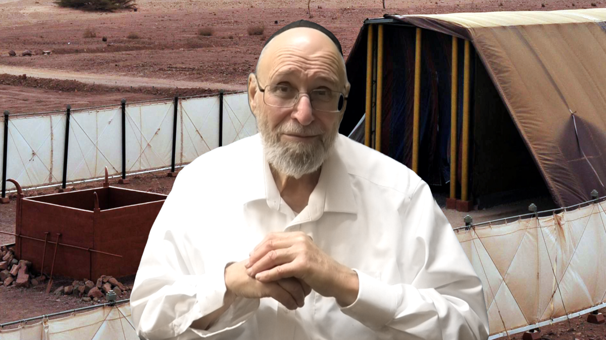 Reb Chaim Kramer - Shemini - The Timeless Wisdom of Breslov